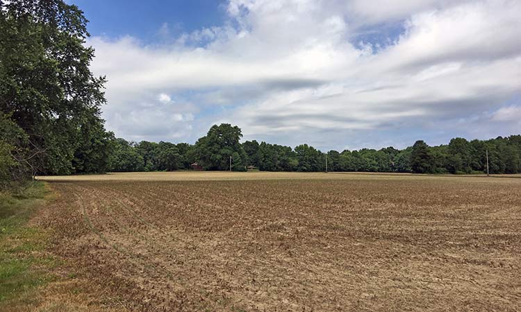 Hamilton Partners with NJ Conservation Foundation to Preserve One of ...